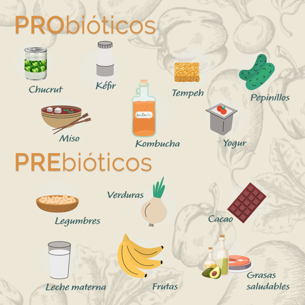 Prebióticos y probióticos. ¿Qué son? - Berta Pinto Robayna - Nutricionista